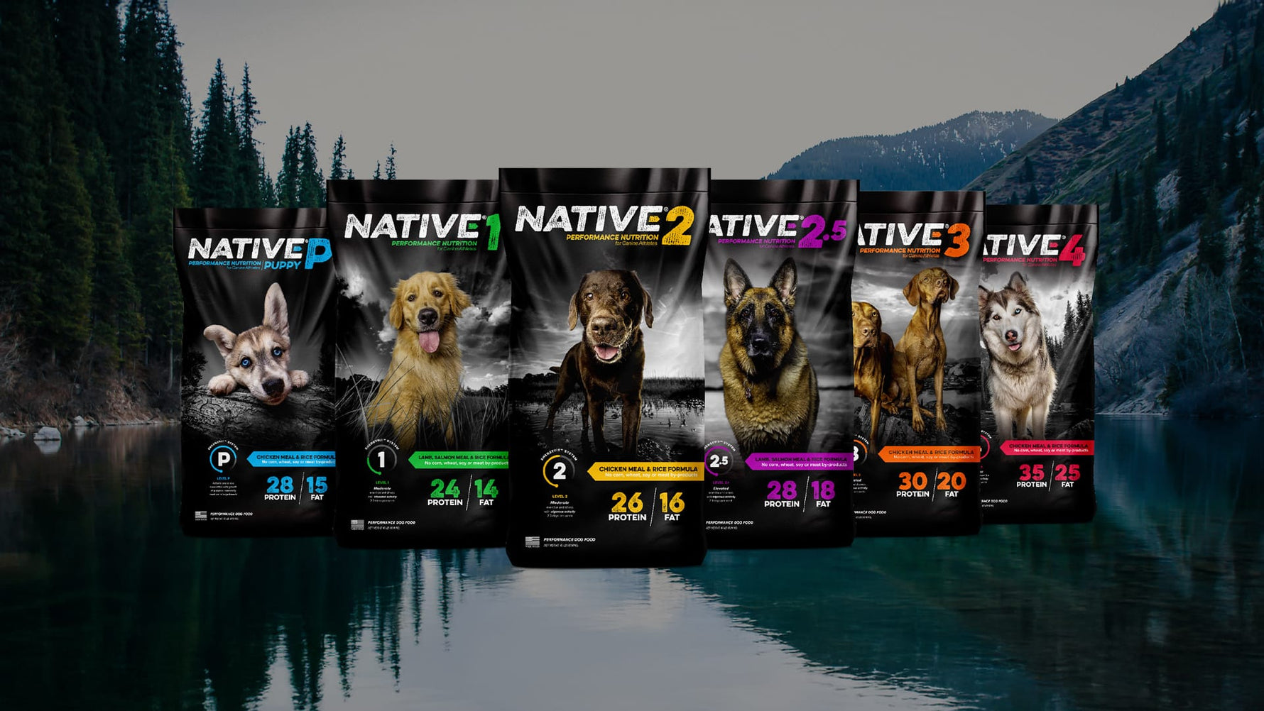 High Performance Dog Food Formulas for Active Dogs | Native Dog Food