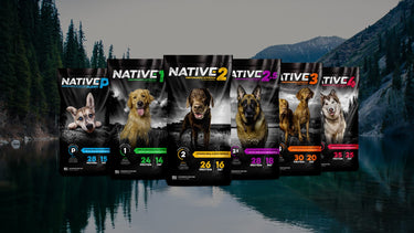 High Performance Dog Food Formulas for Active Dogs | Native Dog Food