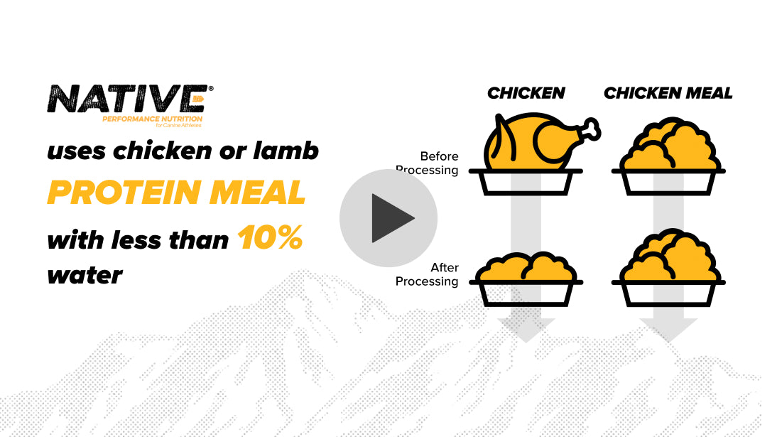 The Native Difference | Sporting Dog Food | Native Dog Food