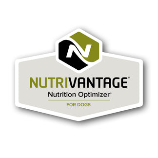 Native Level 3 | High Energy Dog Food | Native Dog Food